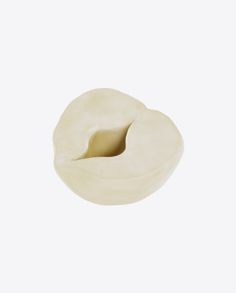 Hazelnut Half PNG Image